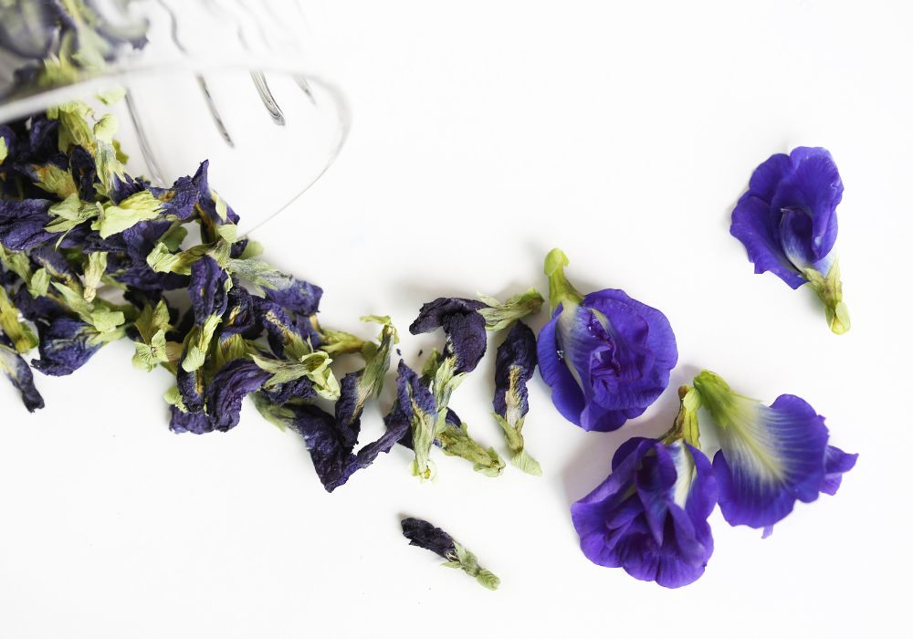 8 Ways To Enjoy The Benefits of Butterfly Blue Pea Flower – So Wealth-Tea
